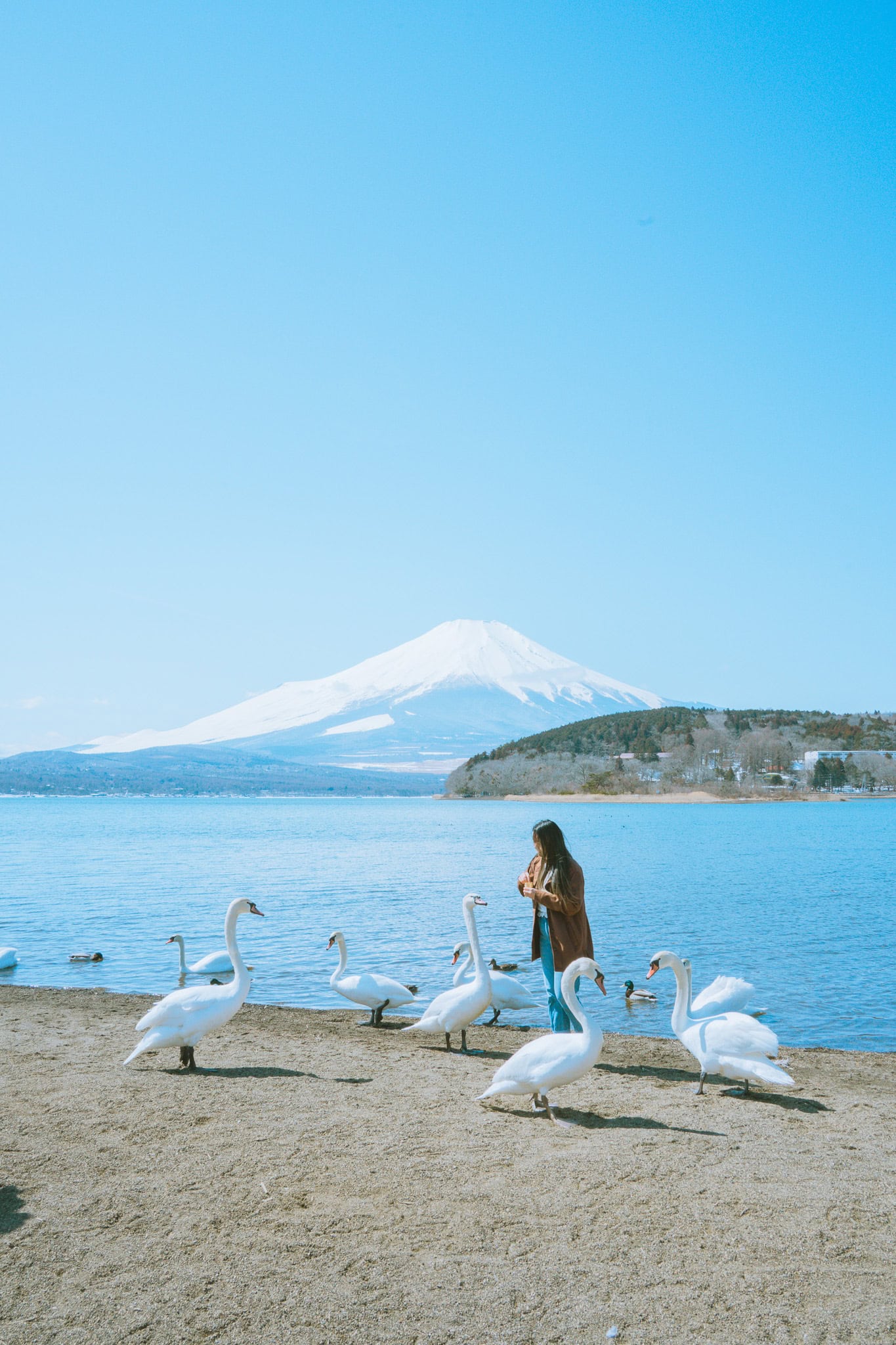 4 Best Places to View Mt. Fuji – All Without Crowds