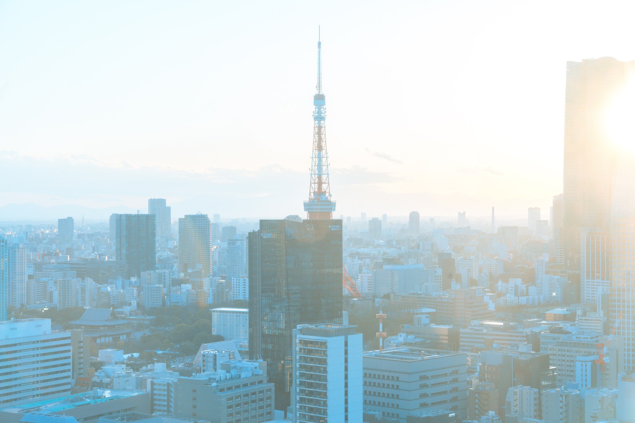 Is it Better to Stay in Osaka or Kyoto?