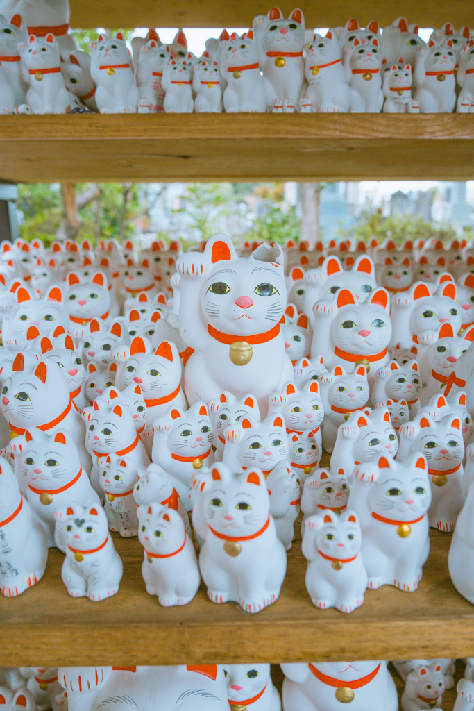 Gotokuji Temple: Tokyo's Ultimate Lucky Cat Experience | Dana Yao ...