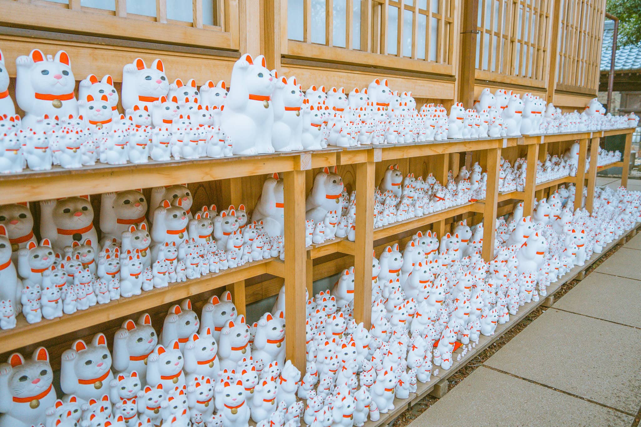 The Lucky Cat Temple in Tokyo: Is Gotokuji Temple Worth Visiting?