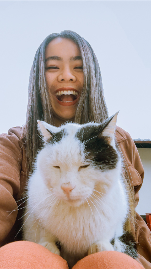 Gotokuji Temple: Tokyo's Ultimate Lucky Cat Experience | Dana Yao ...