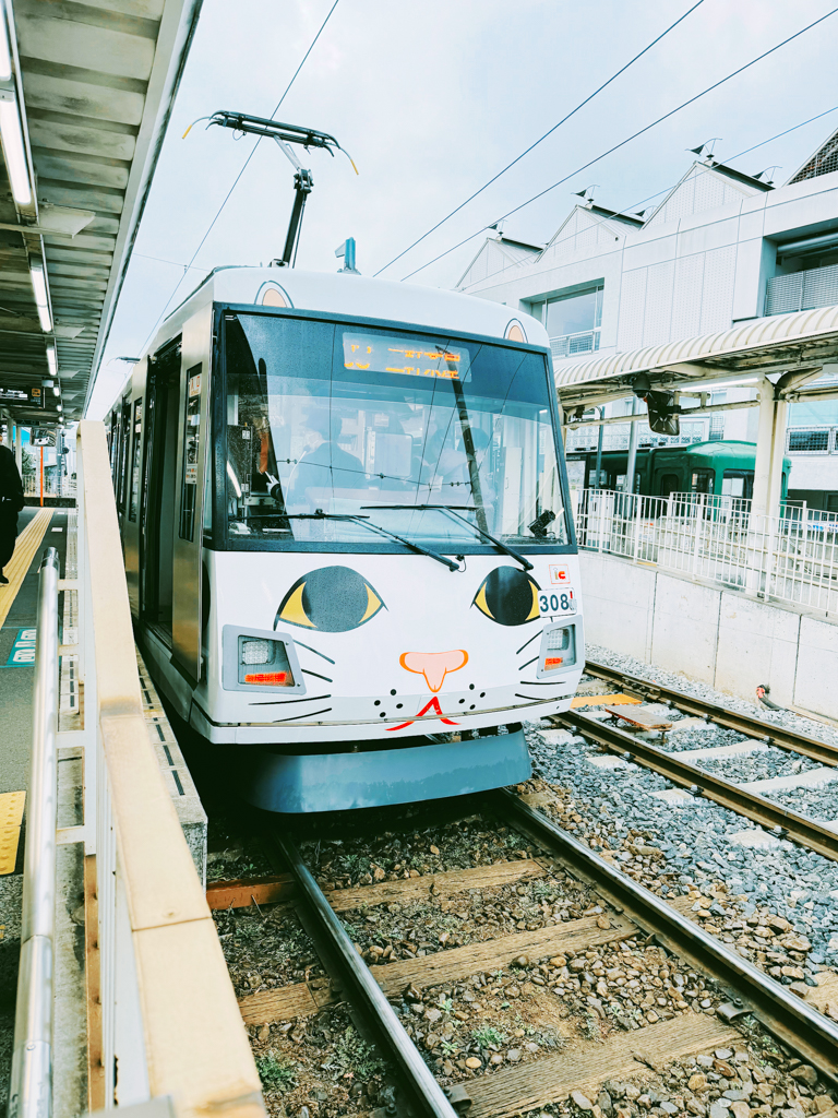 Gotokuji Temple: Tokyo's Ultimate Lucky Cat Experience | Dana Yao ...