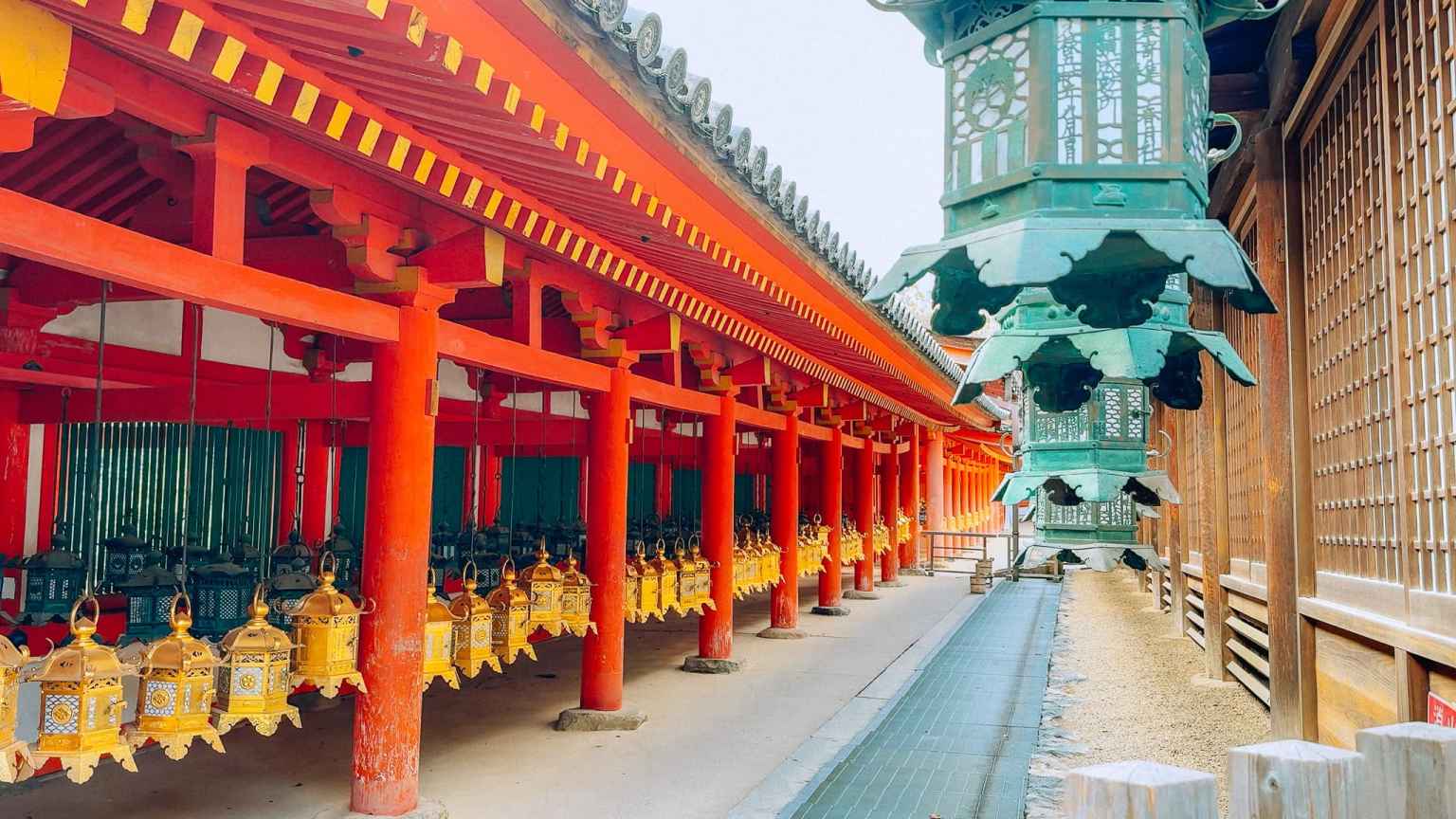 Is Nara Worth Visiting? Everything You Need to Know for First-Time ...