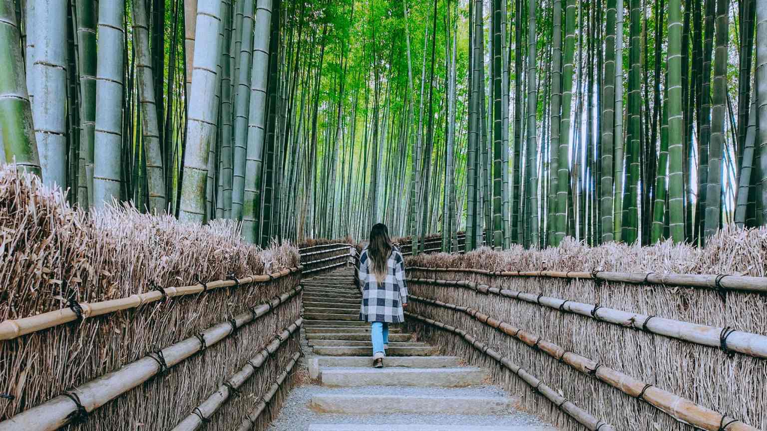 Arashiyama 1 Day Itinerary: Best Things to Do for First-Time Visitors